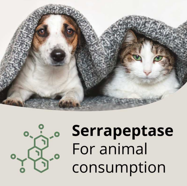 Serra Enzyme 250,000 IU (90 Caps) | Good Health Naturally