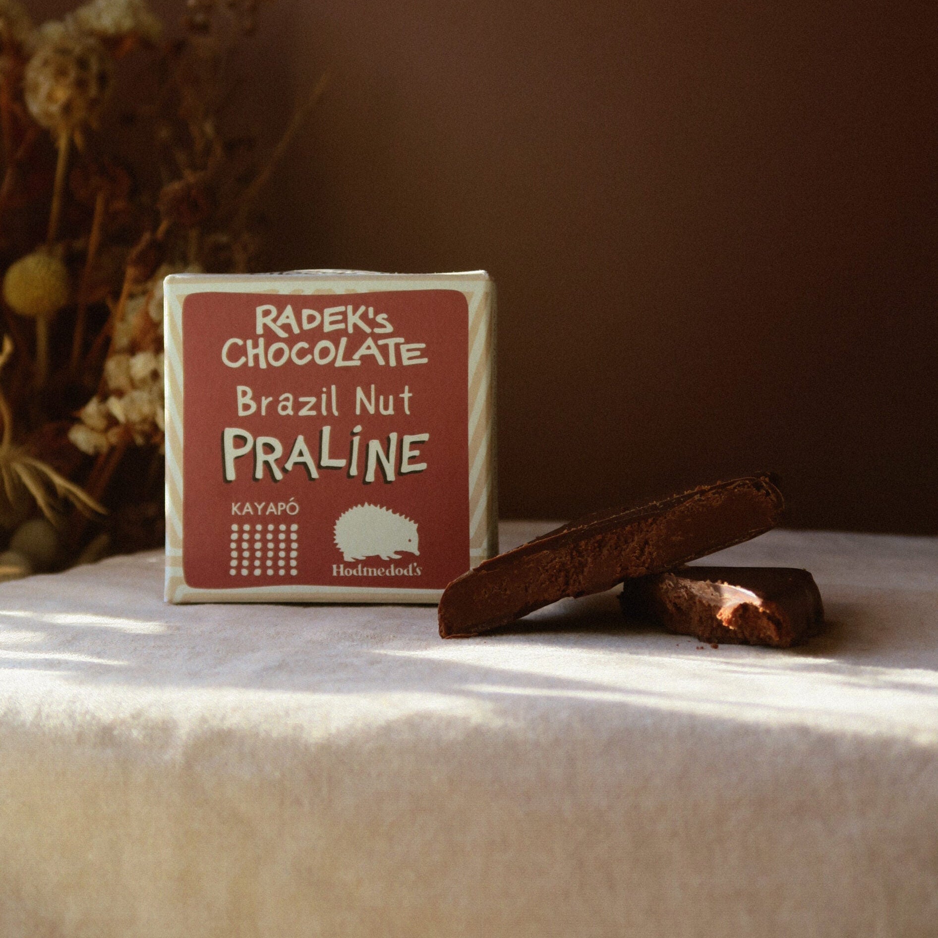 Organic Brazil Nut Praline Bar | Radek's Chocolate | Raw Living UK ...