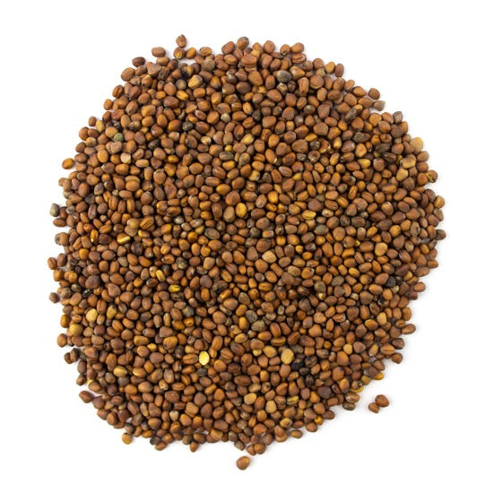 Organic China Rose Sprouting Seeds (100g) | Skysprouts | UK